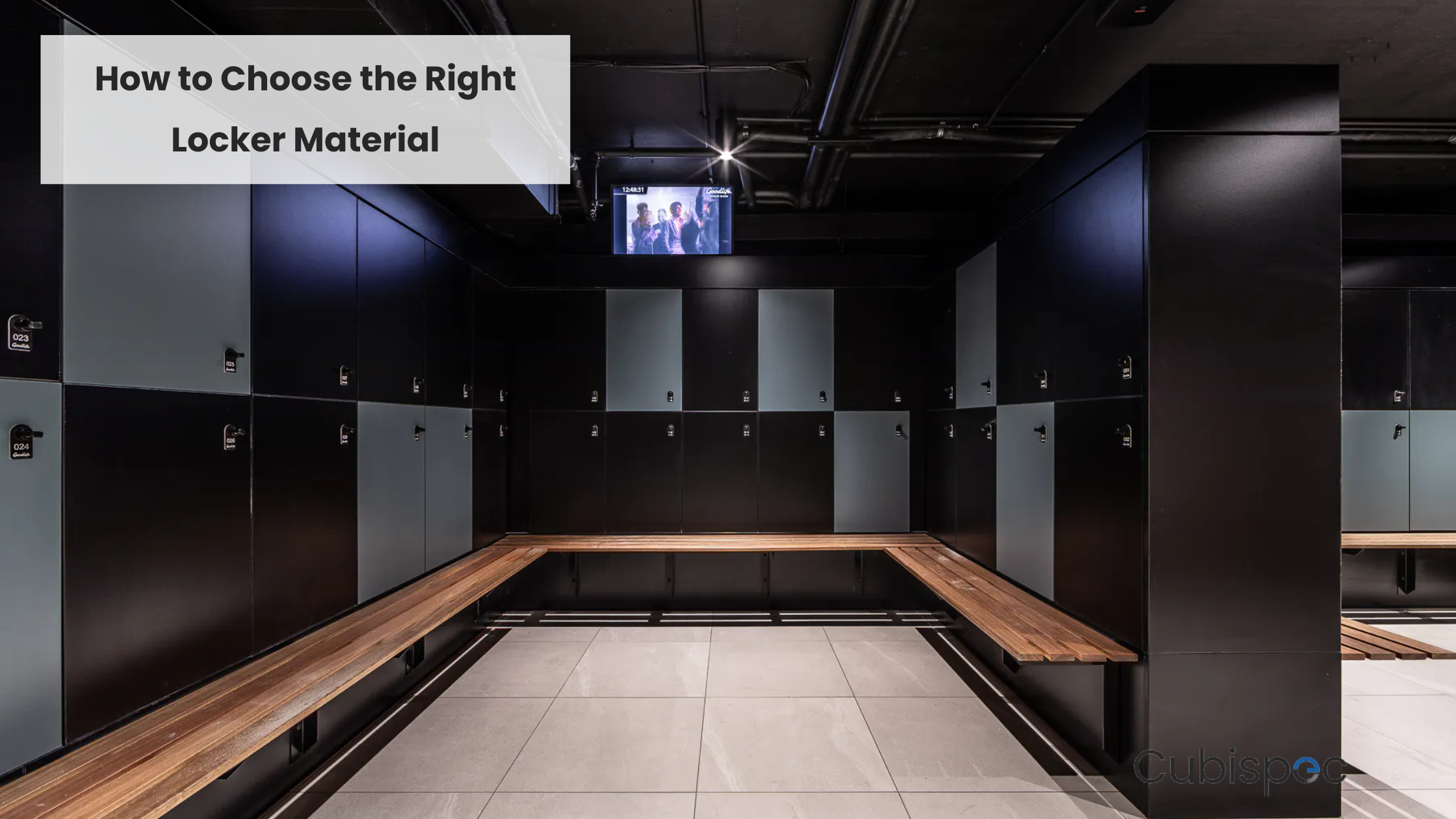 How to Choose the Right Locker Material - CUBISPEC